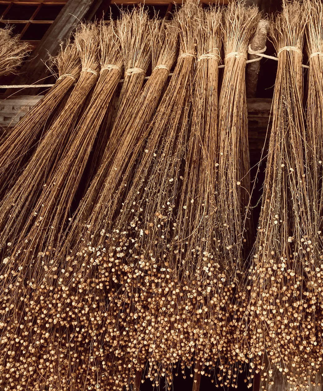 Linen process • TA – CT